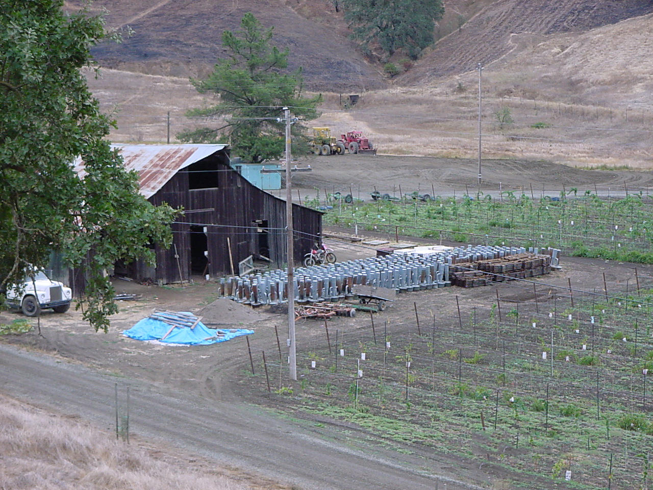 Commercial Vineyards | Summary & Project Abstract | Orion Environmental ...